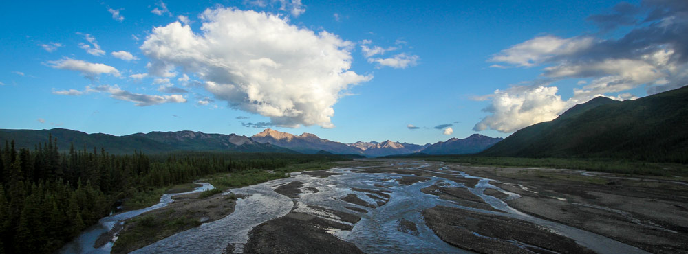 Dead in Denali – Craig Medred